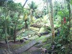 [TRAVEL]: Bali Island Hopper Contiki Tour - Part 2